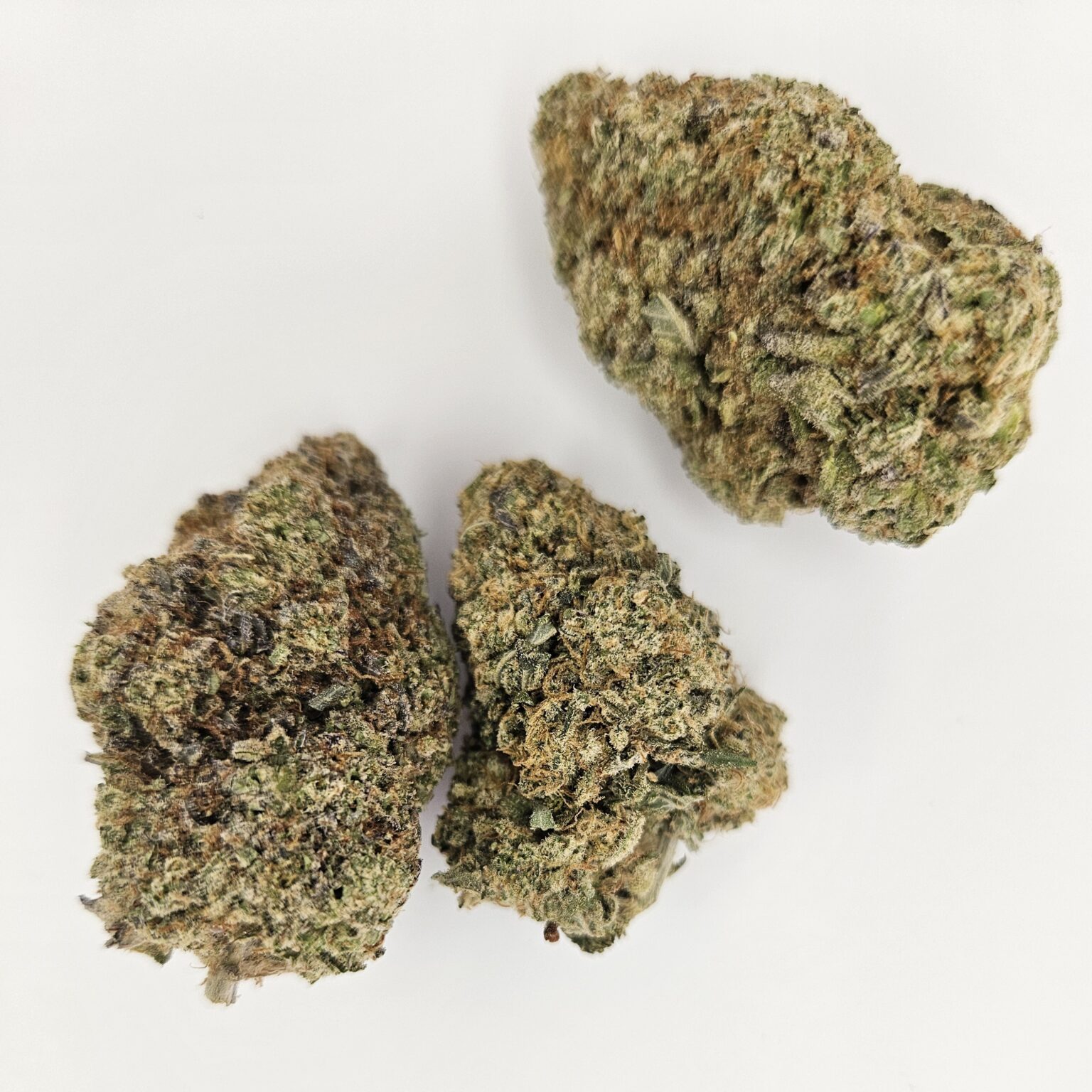 Rainbow Sherbet RS11 THCa Flowers - Better Than Nine | Science and ...