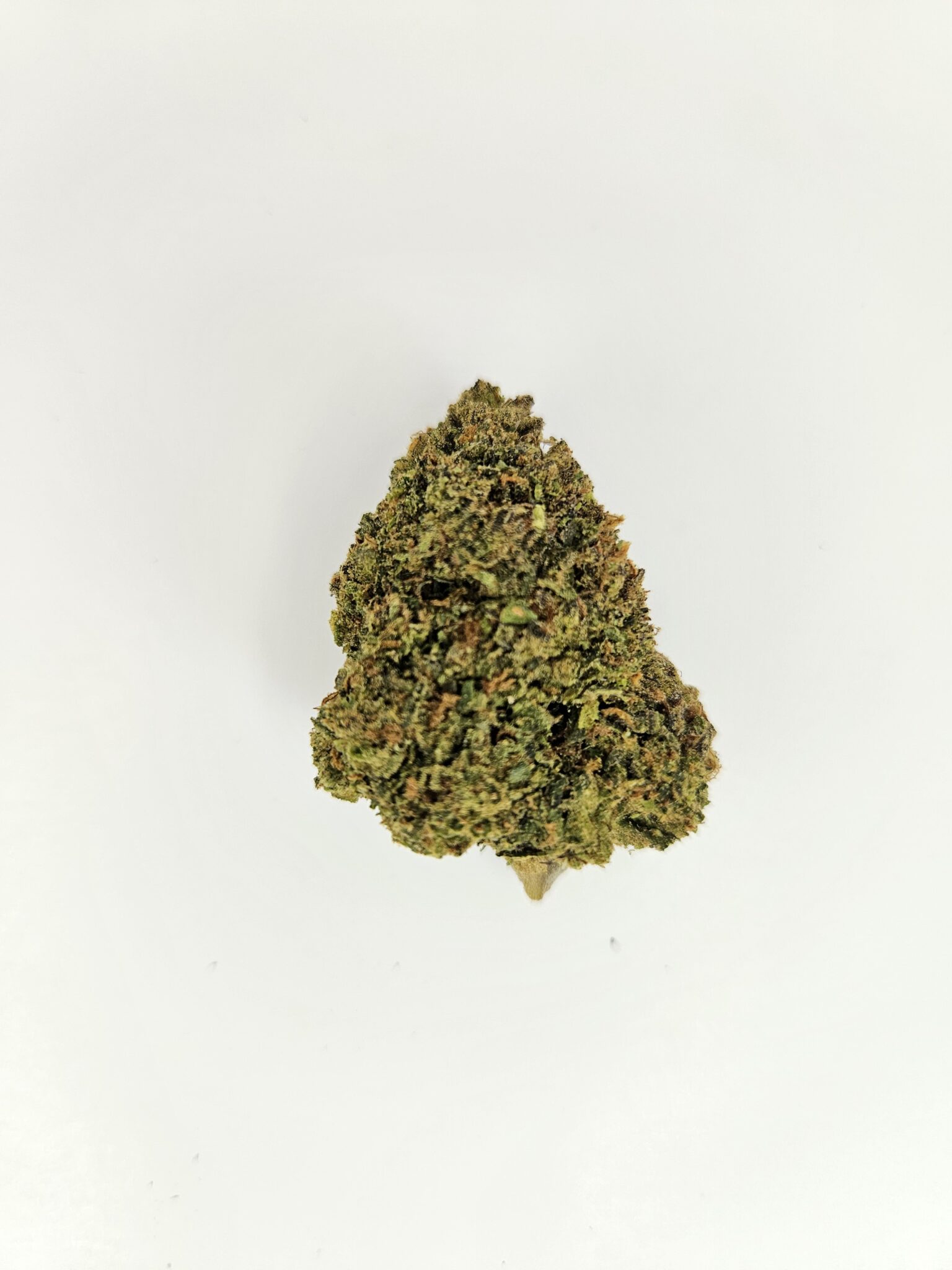 Gelato THCA Flowers - Hybrid | Legal THCA Flower Georgia