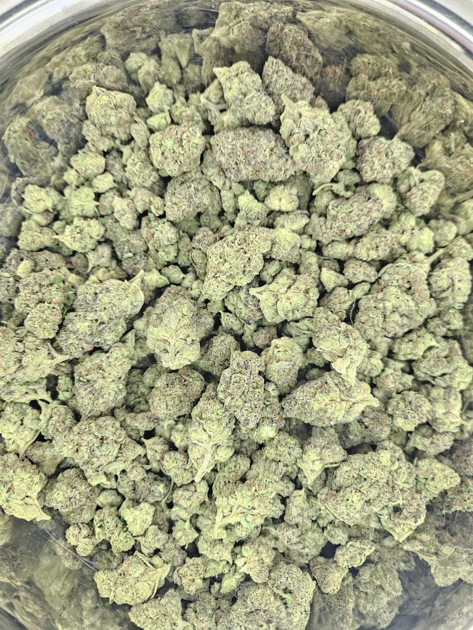 Gelato Float THCA Flowers - Hybrid - Hemp - Legal